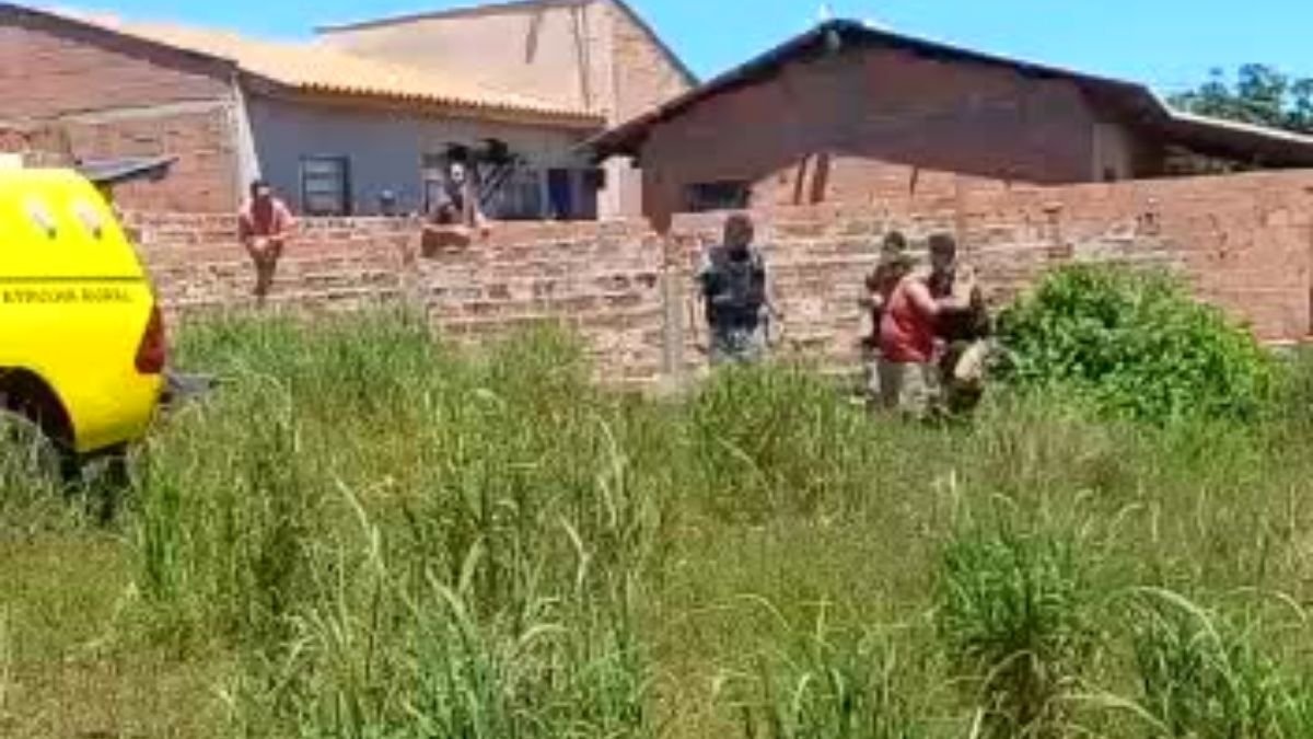 Homem Mata Mãe E Cunhada Com Machado Em Tamarana